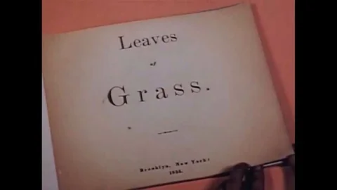 Book Legacy Stock Videos – Royalty-Free HD & 4K Videos | Pond5