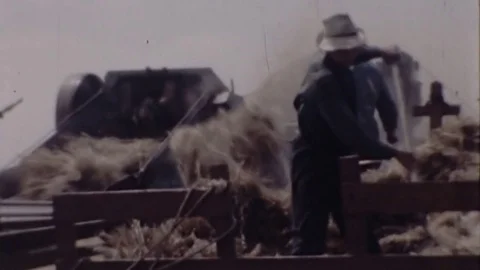 Old Men Farmer Stock Videos – Royalty-Free HD & 4K Videos | Pond5