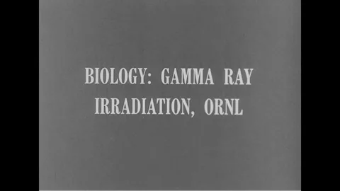 Gamma Ray Stock Video Footage | Royalty Free Gamma Ray Videos | Pond5