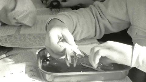 Vintage Science Class Stock Footage ~ Royalty Free Stock Videos | Pond5