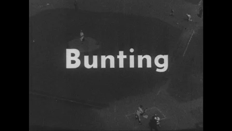 First Title] Stock Videos – Royalty-Free HD & 4K Videos | Pond5