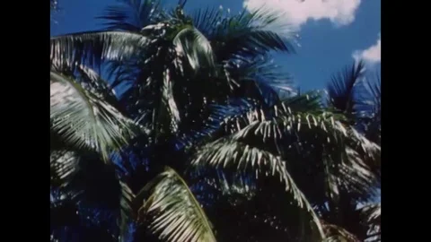 1941 - A US Army sentry stands guard in ... | Stock Video | Pond5