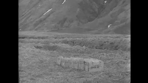 1943 - American soldiers stack crates of... | Stock Video | Pond5