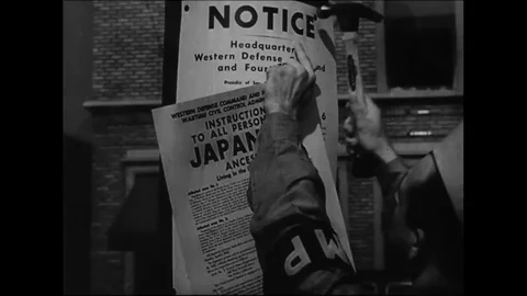 Put To Stock Videos – Royalty-Free HD & 4K Videos