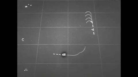 1944 - In this animated sequence, flares... | Stock Video | Pond5