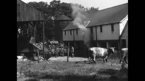 French Getm Stock Videos – Royalty-Free HD & 4K Videos | Pond5