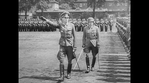 20 July Plot Stock Videos – Royalty-Free HD & 4K Videos