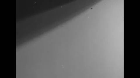 Periscopio Av4Us Stock Videos – Royalty-Free HD & 4K Videos | Pond5