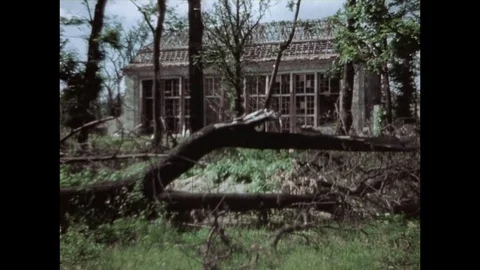 Reich Chancellery Garden Stock Footage ~ Royalty Free Stock Videos | Pond5