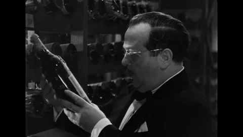 Gangster Dog Stock Videos – Royalty-Free HD & 4K Videos | Pond5