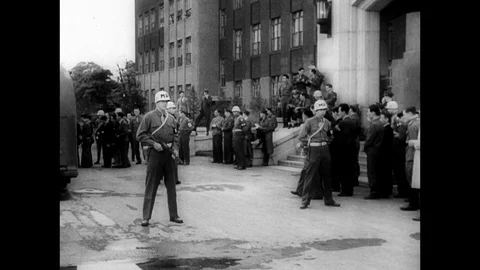 Criminal On Prime Stock Videos – Royalty-Free HD & 4K Videos