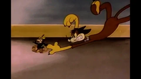 Animation Animated Crow Stock Videos – Royalty-Free HD & 4K Videos | Pond5