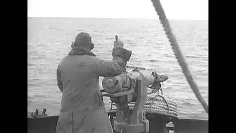 Whaling Ships Stock Videos – Royalty-Free HD & 4K Videos