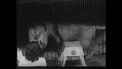 1948 - In this action movie, a lion tame... | Stock Video | Pond5