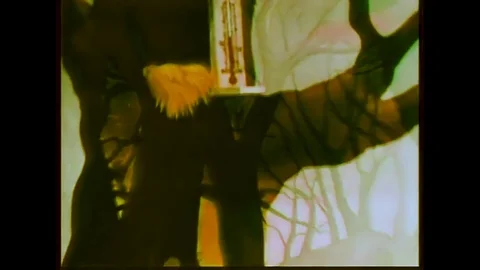 1948 Bird Film Stock Videos – Royalty-Free HD & 4K Videos