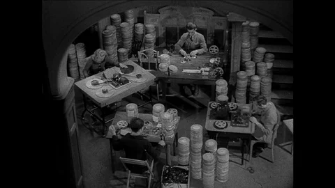 Picture Of Mamal Stock Videos – Royalty-Free HD & 4K Videos