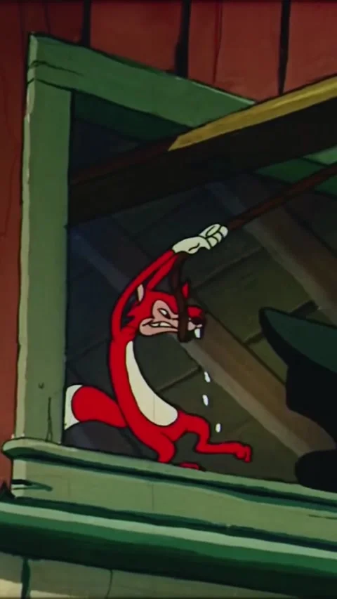 Ugly Foxes Stock Footage ~ Royalty Free Stock Videos | Pond5