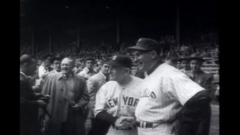 Phillies Stock Videos – Royalty-Free HD & 4K Videos