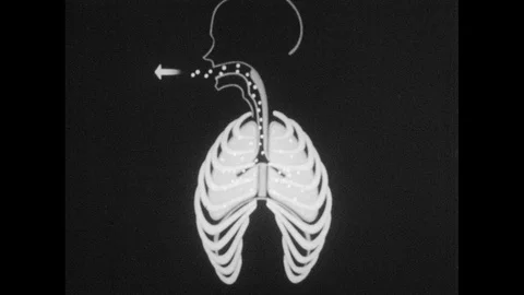 Breathing Animation Stock Footage ~ Royalty Free Stock Videos | Pond5