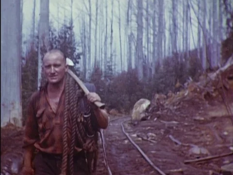 1950s Australian Lumberjack Scales Tall ... | Stock Video | Pond5