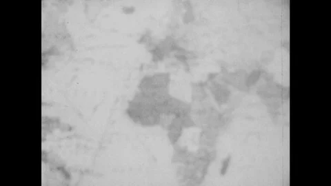 Image Of Teacher Stock Videos – Royalty-Free HD & 4K Videos