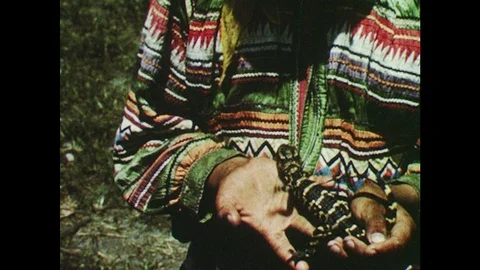 Who’s Back Stock Videos – Royalty-Free HD & 4K Videos | Pond5