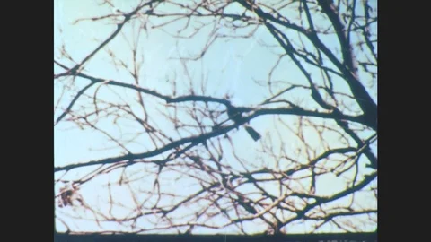 Vinyl Speaker Waves Stock Videos – Royalty-Free HD & 4K Videos