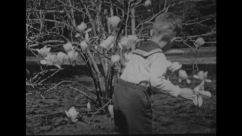 Boys Flowers Stock Videos – Royalty-Free HD & 4K Videos