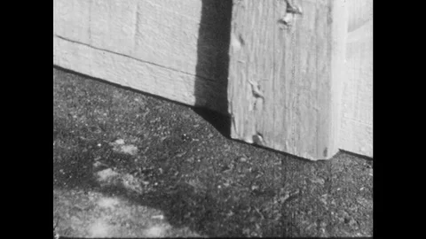 1950s: Boys push and pull large box of c... | Stock Video | Pond5