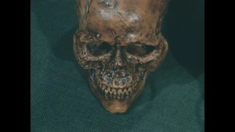 Models 1950S Stock Videos – Royalty-Free HD & 4K Videos | Pond5