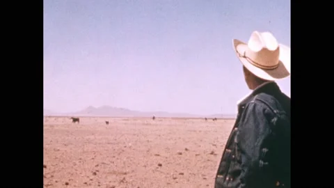 1950s: cowboys rounding up cattle, cattl... | Stock Video | Pond5