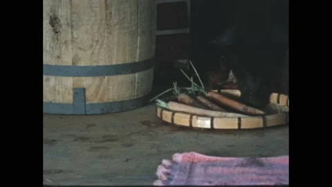 1950s: Crude animation of a wolf falling... | Stock Video | Pond5