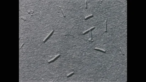 1950s: Electron microscope view of tubul... | Stock Video | Pond5