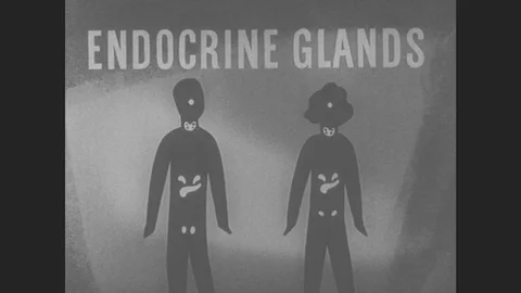 Two Bodies T Stock Videos – Royalty-Free HD & 4K Videos