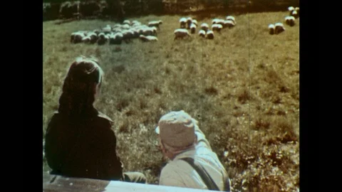 Girls Watch Girl Stock Videos – Royalty-Free HD & 4K Videos