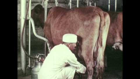 Mans Milking Machine Stock Videos – Royalty-Free HD & 4K Videos | Pond5