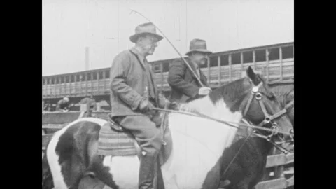 Men With Whip Stock Video Footage | Royalty Free Men With Whip Videos ...