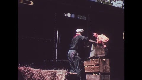 Men Load Crates Stock Video Footage | Royalty Free Men Load Crates ...