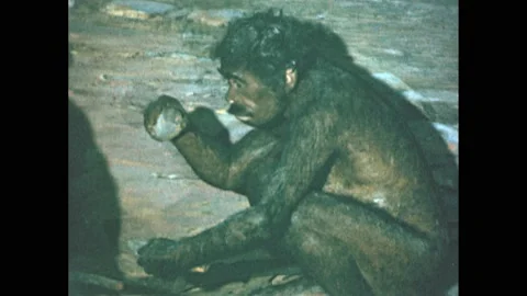 1950s: Model of prehistoric man with sto... | Stock Video | Pond5