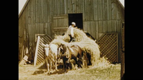 Older Woman Ga Stock Videos – Royalty-Free HD & 4K Videos | Pond5