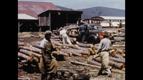 Lumber Yard Stock Video Footage | Royalty Free Lumber Yard Videos | Pond5