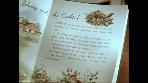 1950s: A picture book "Johnny and The Bi... | Stock Video | Pond5