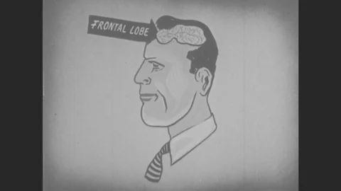 Picture Of Inside Stock Videos – Royalty-Free HD & 4K Videos | Pond5