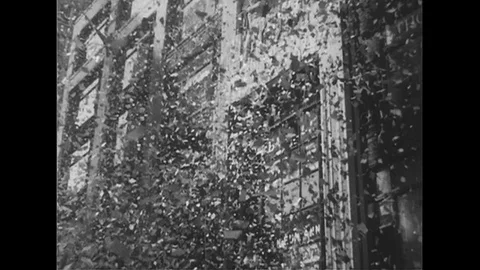 Ticker Tape Parade Stock Footage ~ Royalty Free Stock Videos | Pond5