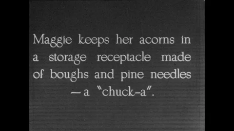 1950s: title card describes chuck-a and ... | Stock Video | Pond5