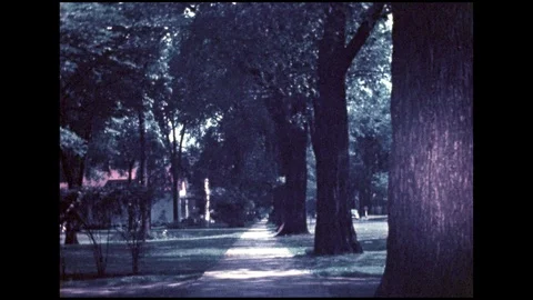 1950s: Tree lined pathway. Memorial text... | Stock Video | Pond5
