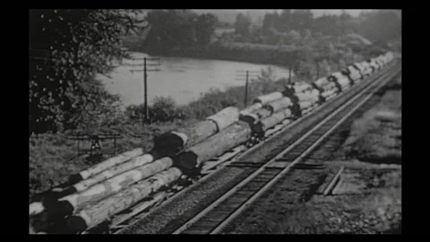 1950s Tree Logs on Train Historic Film | Stock Video | Pond5