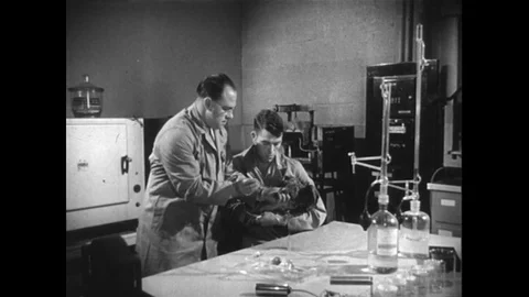 Lab Chicken Stock Videos – Royalty-Free HD & 4K Videos