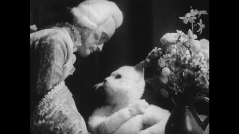 Man Asks Stock Videos – Royalty-Free HD & 4K Videos