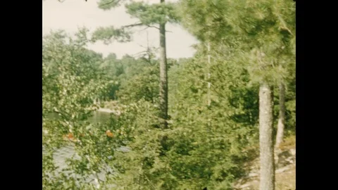 1950s: View of trees. Side of cabin. Pan... | Stock Video | Pond5